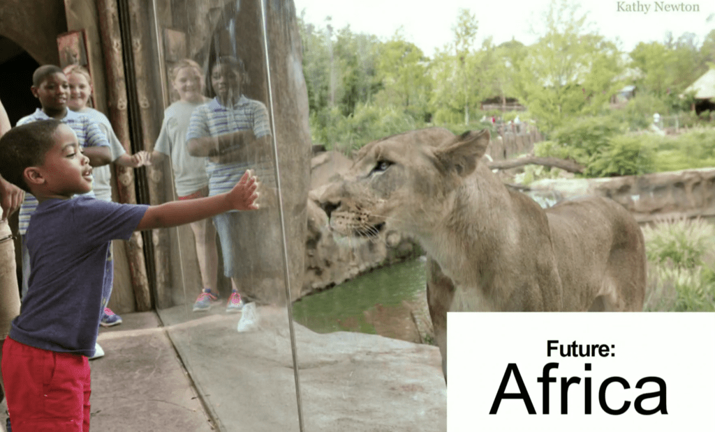 New at the zoo: Plans for more animals, other improvements - Pigeon605