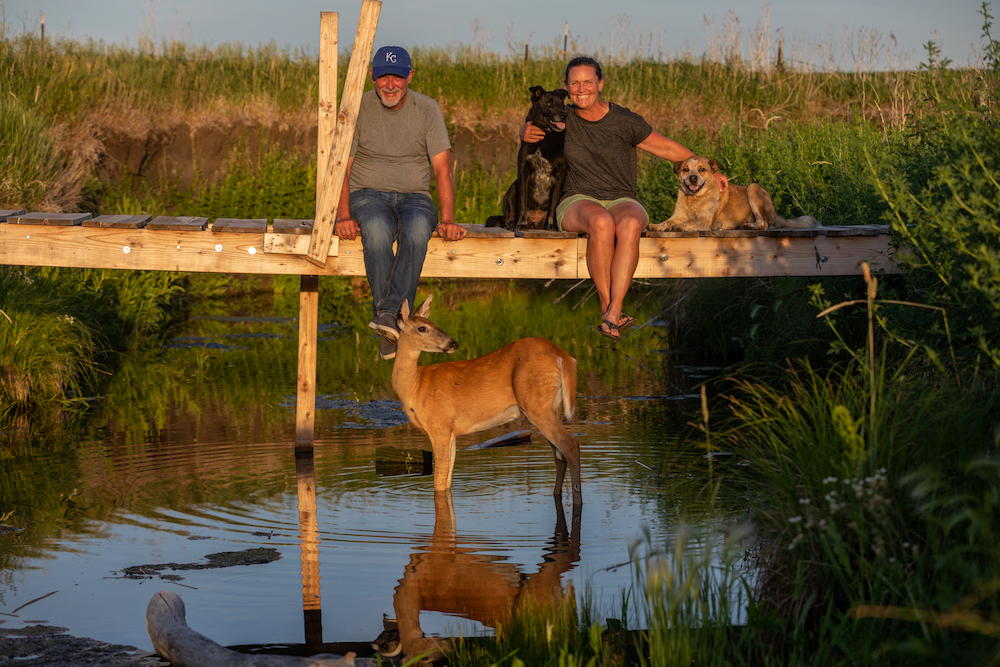 The power of Pearl: White-tailed deer's bond with family endures ...