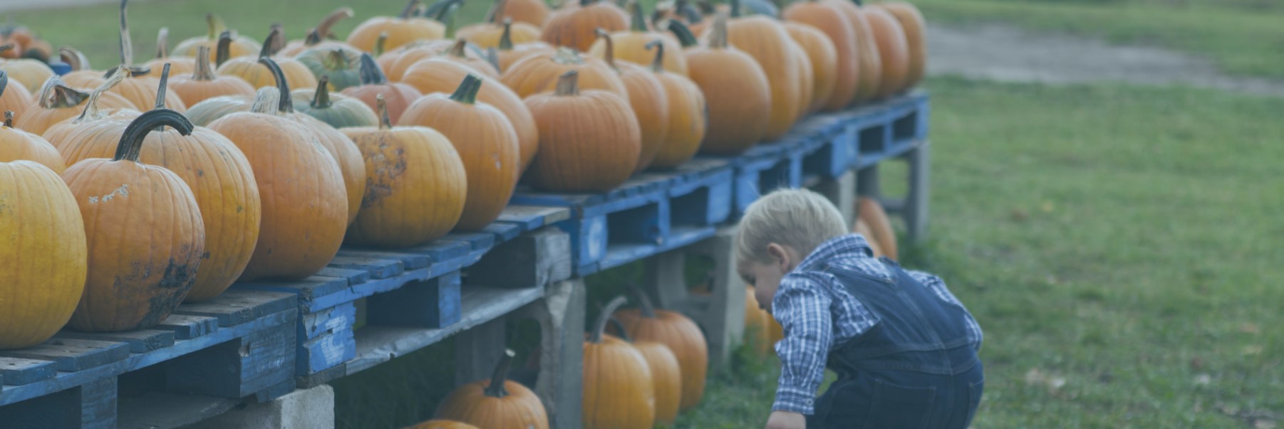 15 ways to get the most fun out of fall just outside Sioux Falls ...