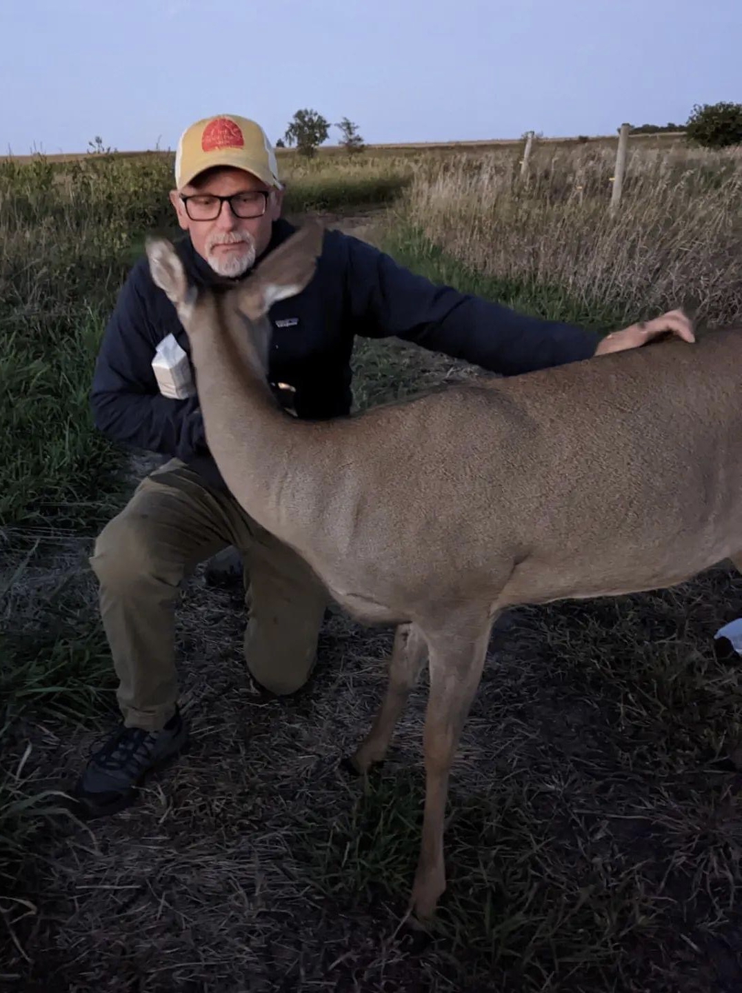 The power of Pearl: White-tailed deer's bond with family endures ...