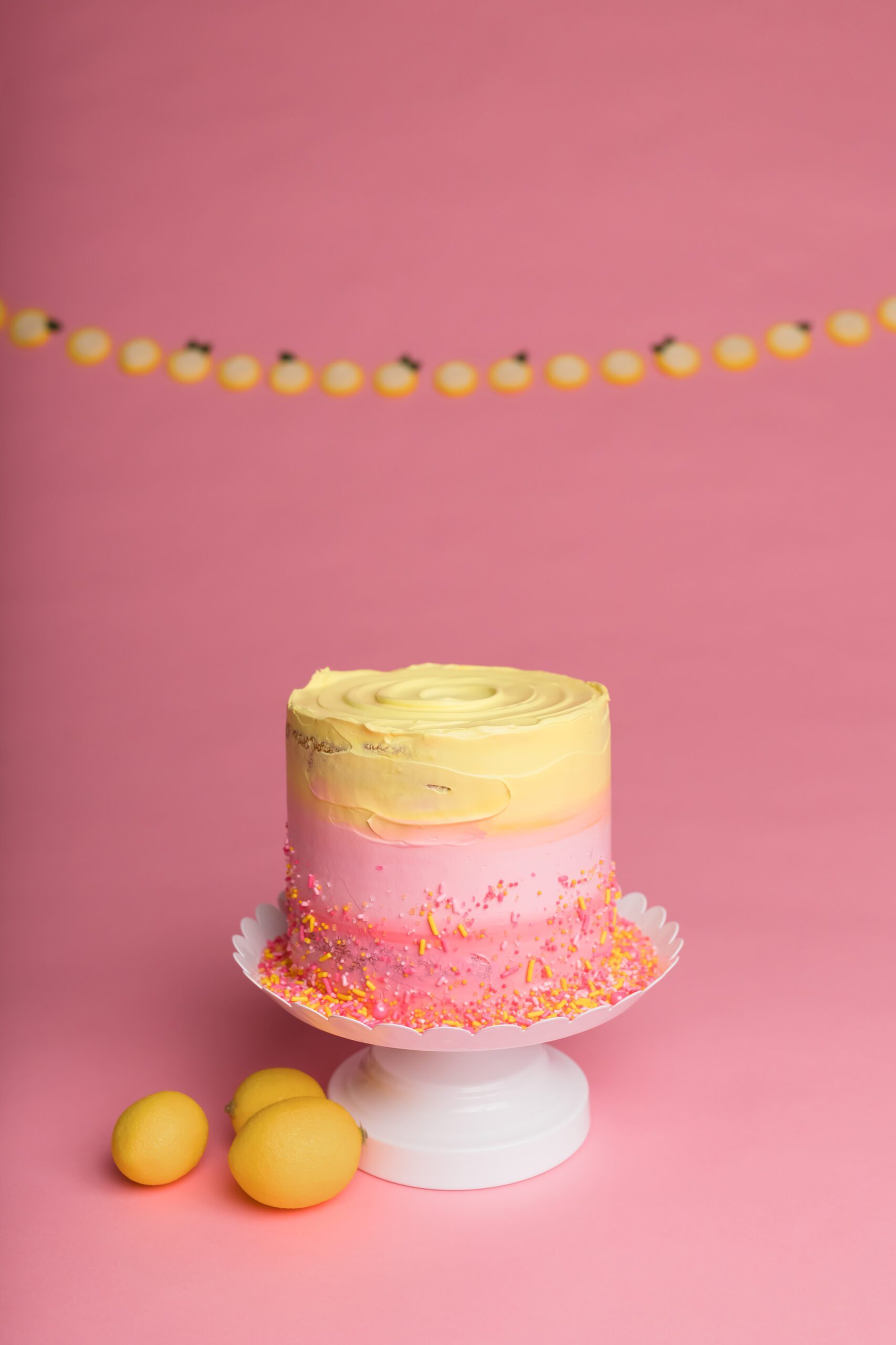 Meet the woman becoming queen of the smash cake - Pigeon605