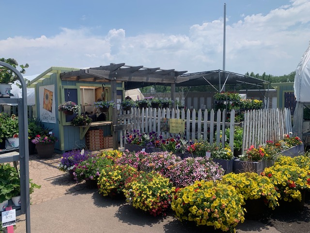 Meet the woman out to connect people with plants - and pollinators ...