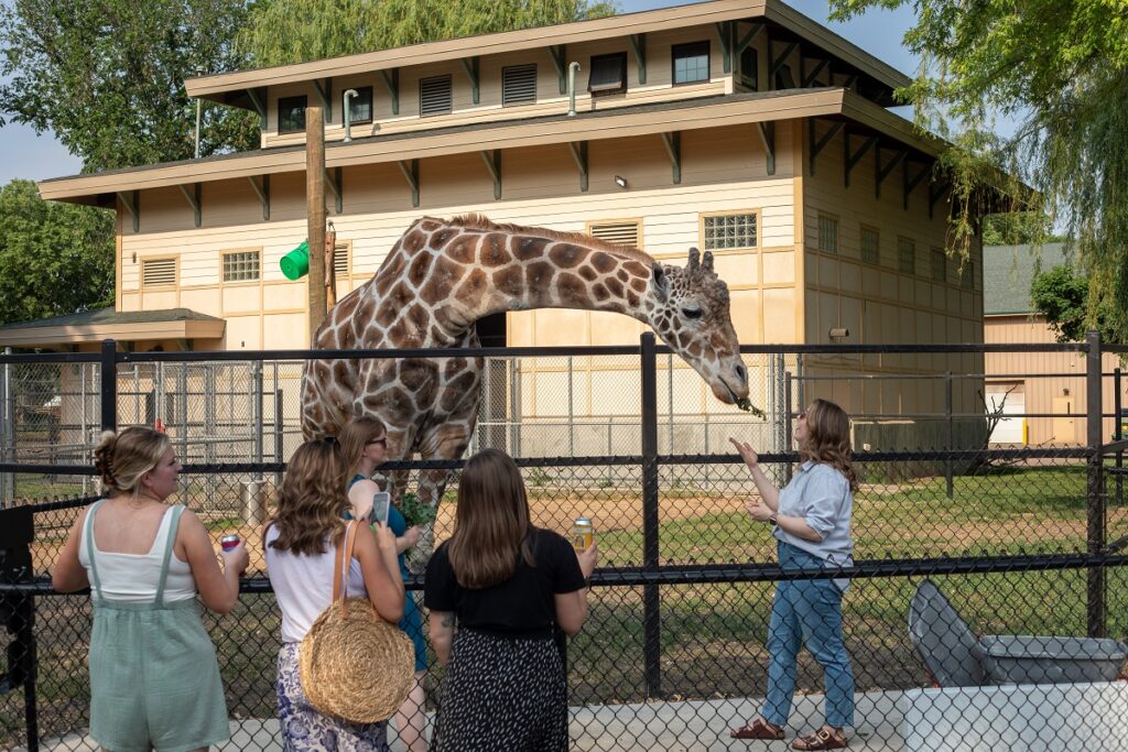 Zoo invites grownups for some 'wild fun' at special event - Pigeon605