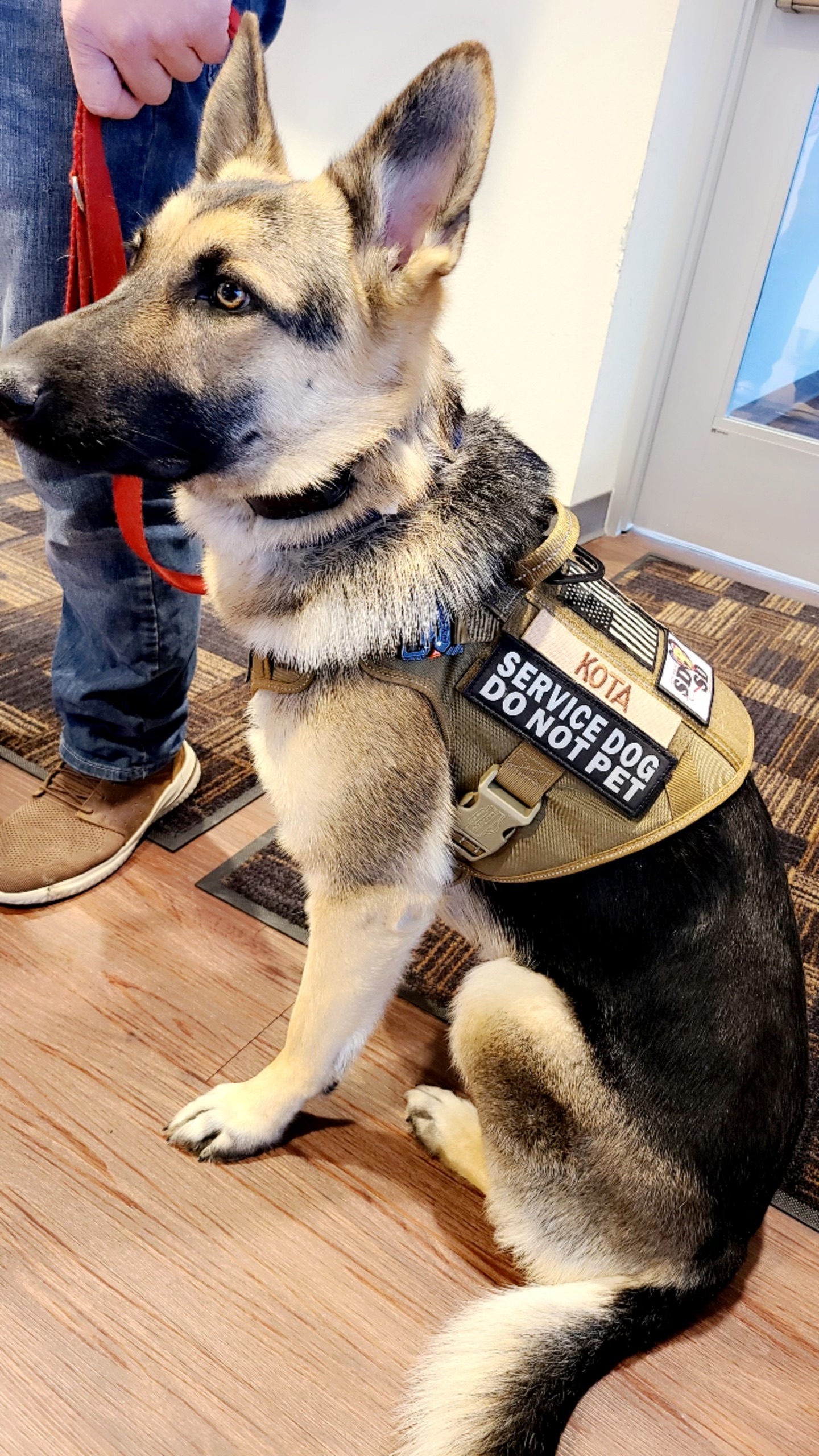 Meet the South Dakota veteran bringing service dogs to others - Pigeon605