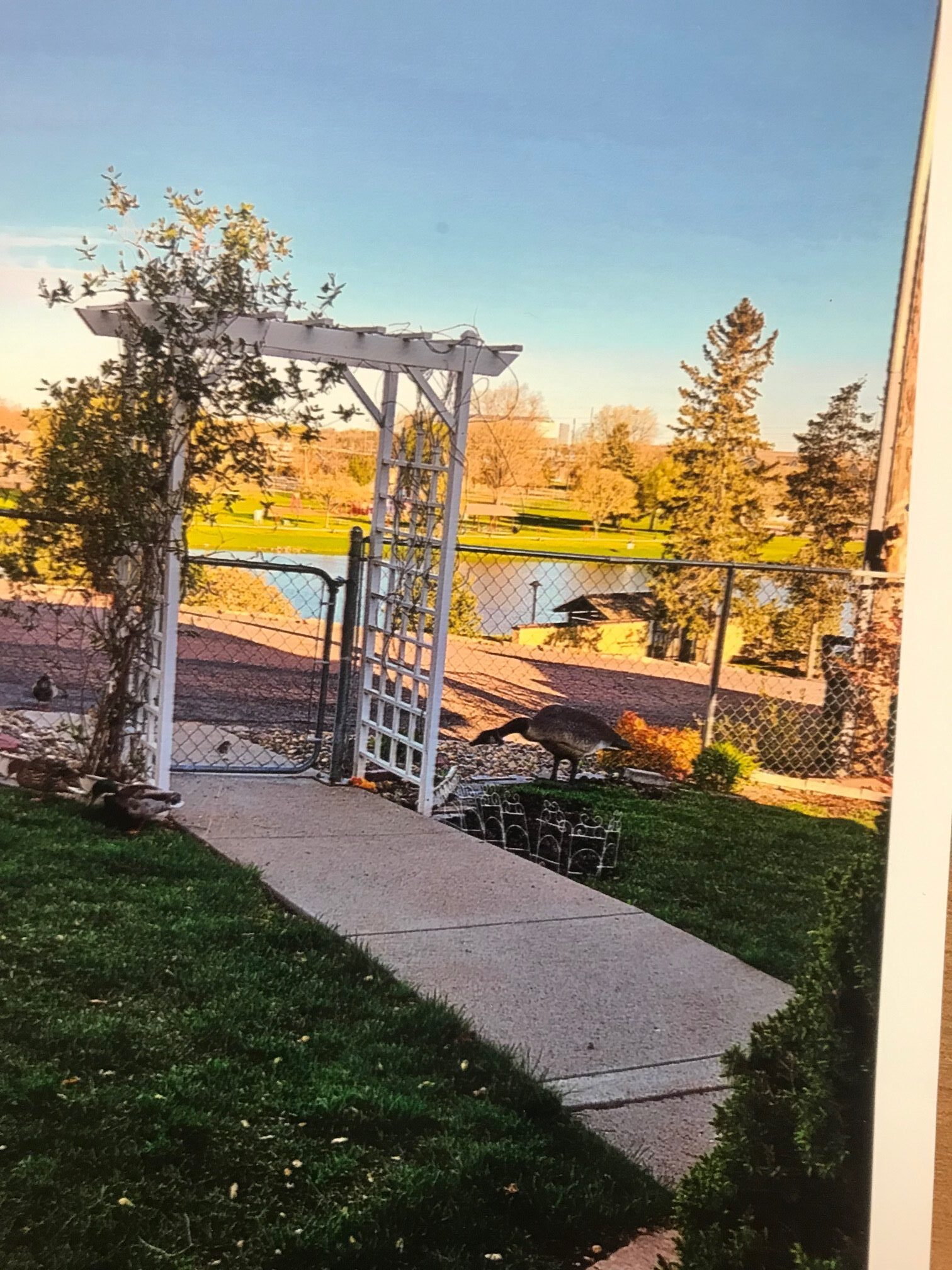 Terrace Park area looks 'for ways to pay it forward' with neighborhood ...