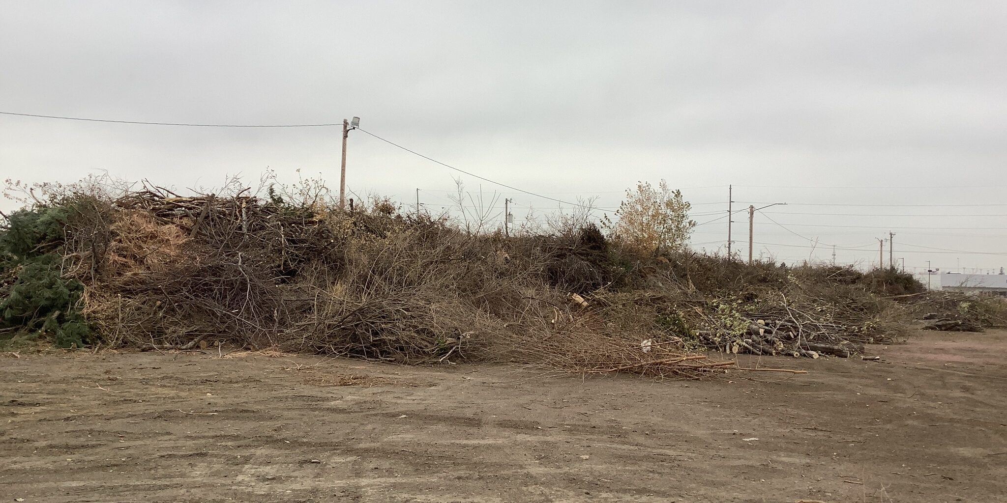 Seasonal leaf, branch drop-off sites open - Pigeon605