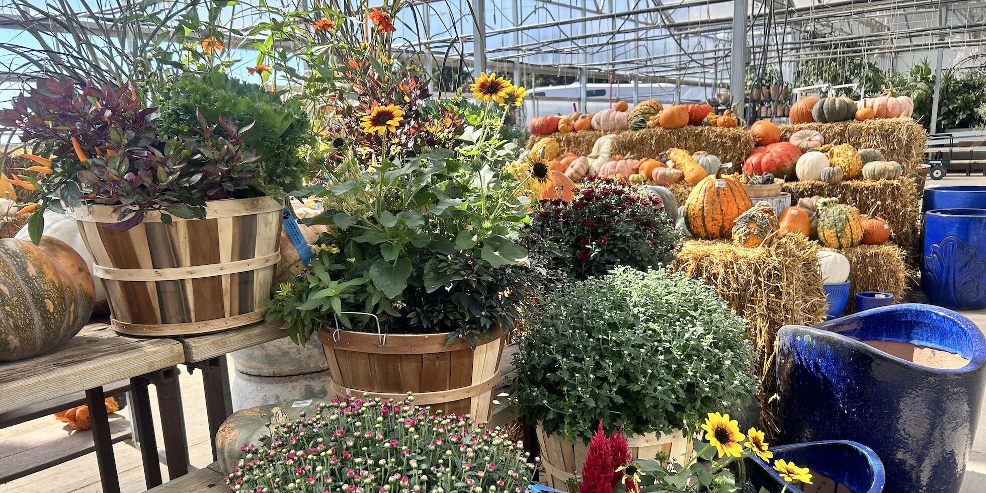 From fresh annuals to fall bulbs, learn how your landscape can make the ...