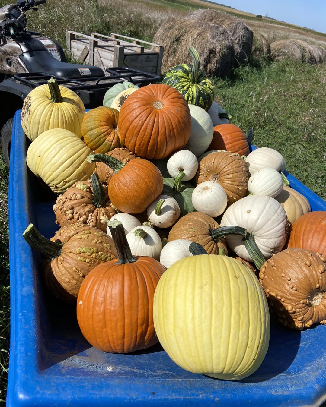 Your complete guide to fall fun just outside Sioux Falls - Pigeon605