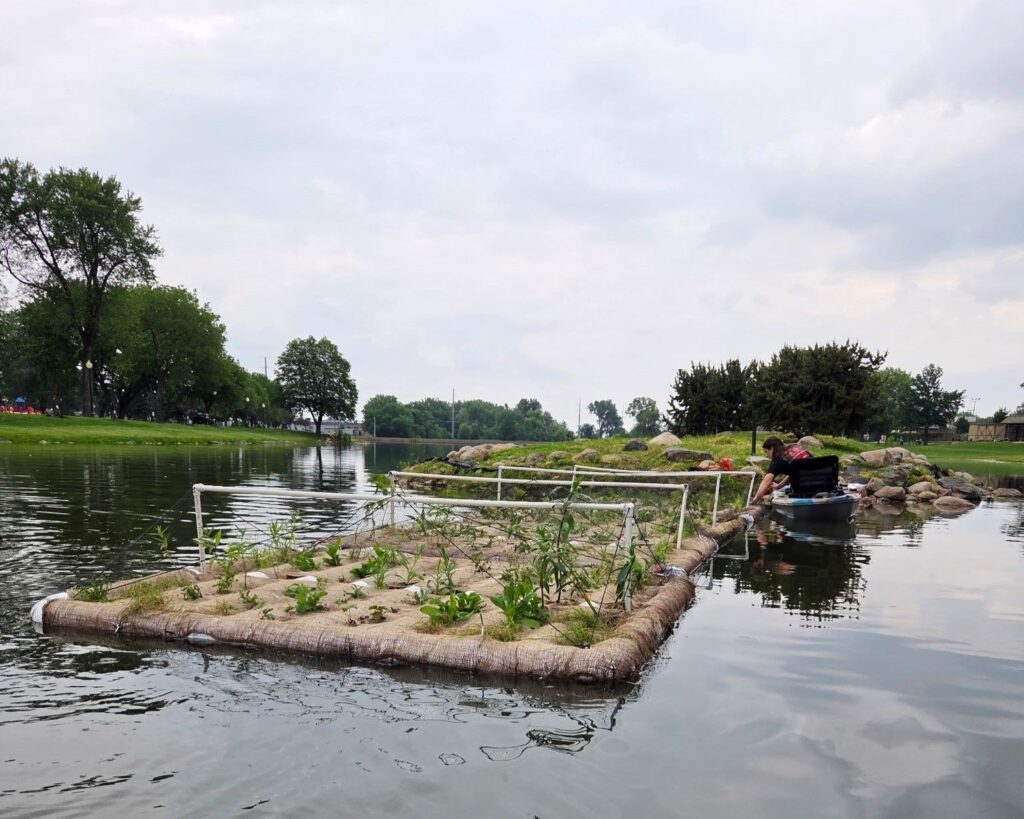 Floating islands take shape at Covell Lake with new sustainability ...