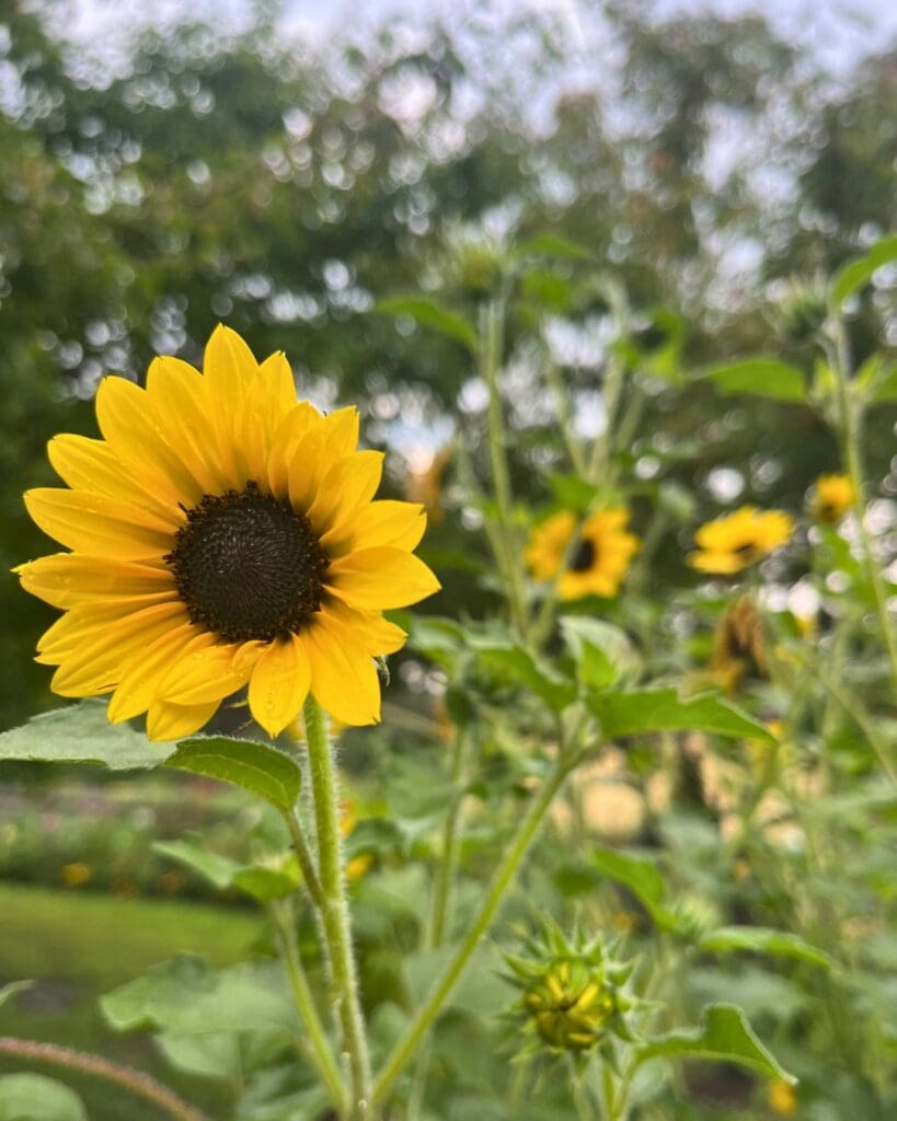Savor the last days of summer – and first days of fall – with a road ...